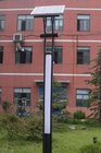 Solar Garden Light-3.5 Meters